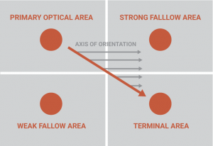 F-shaped Reading Pattern on the Web: Revisiting its meaning 12 yrs ...